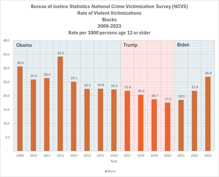 Examining Racial Disparities in US Crime Victimization Rates - White ...